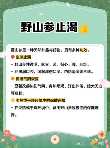 野山参的功效与作用_野山参怎么吃效果最好-第3张图片-山城妙识