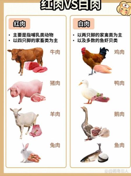 红肉和白肉的区别是什么_哪个更健康-第1张图片-山城妙识