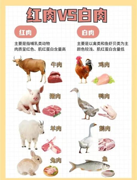 红肉和白肉的区别是什么_哪个更健康-第3张图片-山城妙识