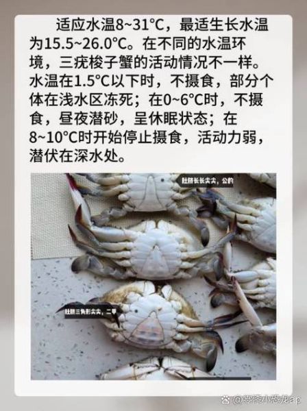 石头蟹怎么挑选_石头蟹和梭子蟹区别-第3张图片-山城妙识