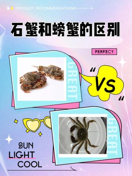 石头蟹怎么挑选_石头蟹和梭子蟹区别-第1张图片-山城妙识