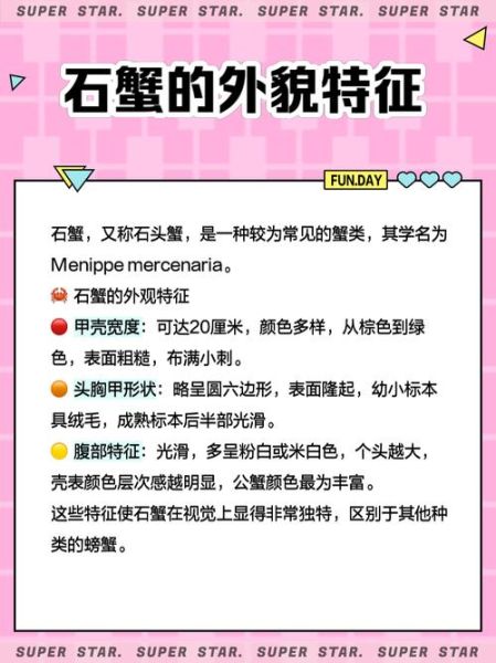 石头蟹怎么挑选_石头蟹和梭子蟹区别-第2张图片-山城妙识