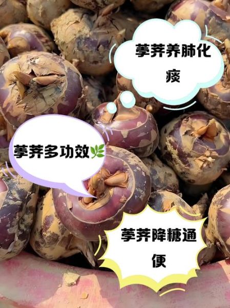 长期吃荸荠危害_荸荠吃多了有什么坏处-第2张图片-山城妙识