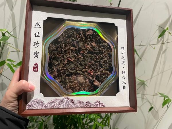 金线莲多少钱一斤_金线莲价格为什么差别大-第3张图片-山城妙识