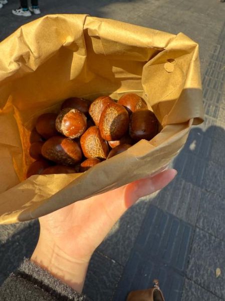 开个糖炒栗子店要多少钱_糖炒栗子店成本明细-第2张图片-山城妙识