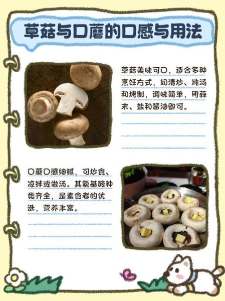 草菇种植方法_草菇原料有哪些-第3张图片-山城妙识