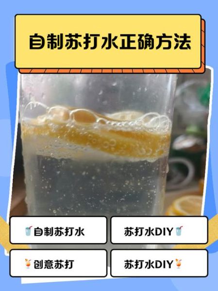 苏打水怎么制作_自制苏打水配方比例-第1张图片-山城妙识 苏打水怎么制作_自制苏打水配方比例-第1张图片-山城妙识
