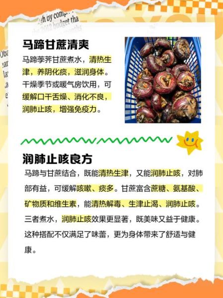 马蹄的功效与作用禁忌_荸荠要煮多久-第2张图片-山城妙识