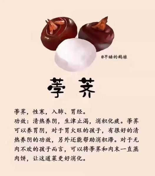 马蹄的功效与作用禁忌_荸荠要煮多久-第3张图片-山城妙识