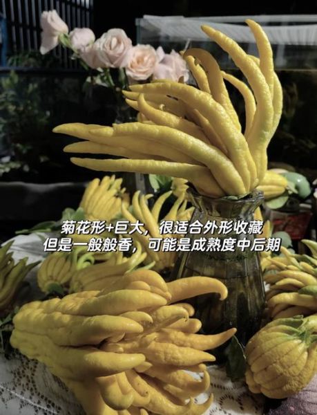 金华佛手茶怎么泡_金华佛手茶功效与作用-第2张图片-山城妙识