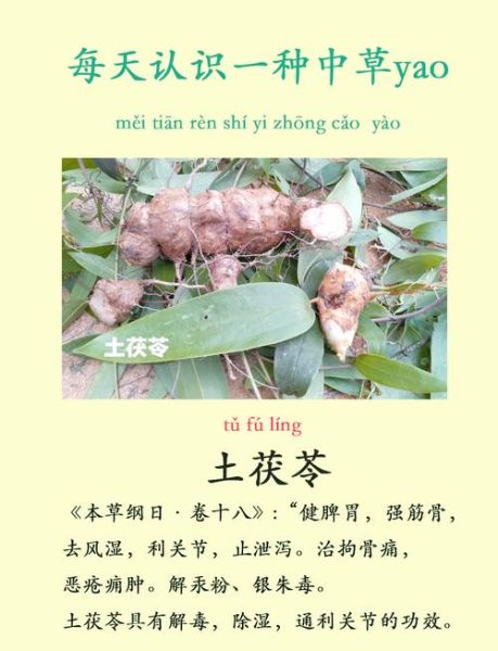 土茯苓的功效与副作用_土茯苓可以长期吃吗-第1张图片-山城妙识