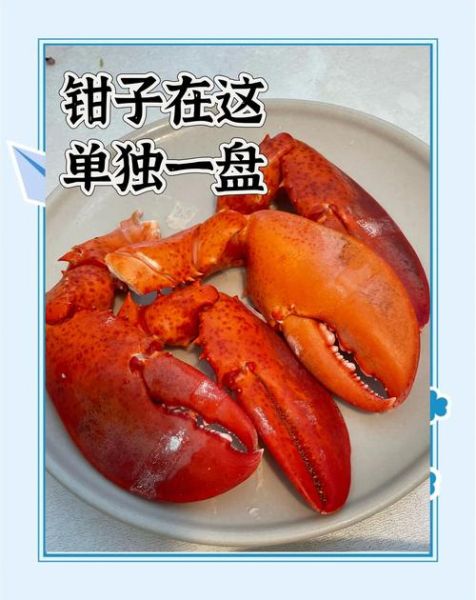 波士顿龙虾怎么清蒸_清蒸波士顿龙虾多长时间-第2张图片-山城妙识