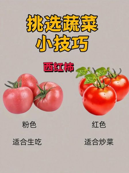 常见蔬菜图片识别技巧_如何挑选新鲜蔬菜-第1张图片-山城妙识
