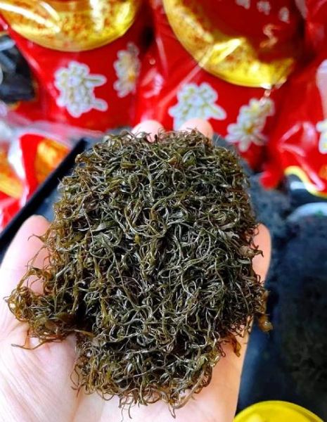 野生发菜图片_野生发菜长什么样-第1张图片-山城妙识