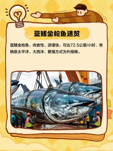 黄鳍金枪鱼和蓝鳍金枪鱼哪个贵_价格差距有多大-第2张图片-山城妙识