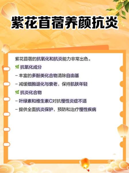 苜蓿菜的功效与作用_苜蓿菜禁忌人群有哪些-第1张图片-山城妙识