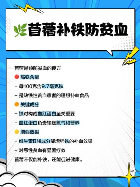 苜蓿菜的功效与作用_苜蓿菜禁忌人群有哪些-第2张图片-山城妙识