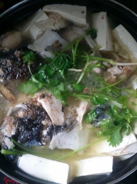 鱼头白菜豆腐汤怎么做好吃_鱼头汤去腥技巧-第1张图片-山城妙识