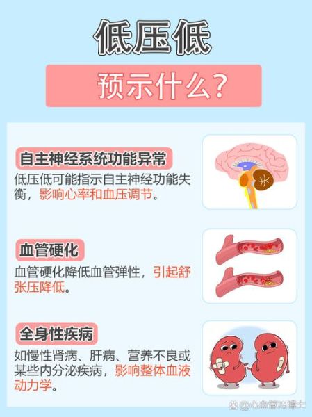 血压低是怎么造成的_低血压的原因有哪些-第1张图片-山城妙识