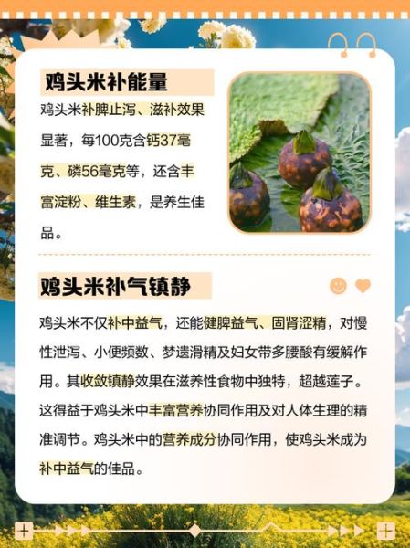 鸡头米的功效与作用_鸡头米的禁忌有哪些-第1张图片-山城妙识