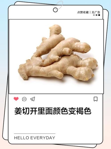 吃生姜几个月致癌_生姜致癌是真的吗-第3张图片-山城妙识