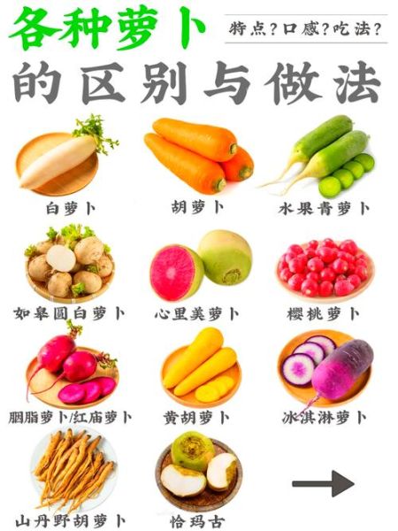萝卜的功效与作用禁忌_什么人不能吃萝卜-第3张图片-山城妙识