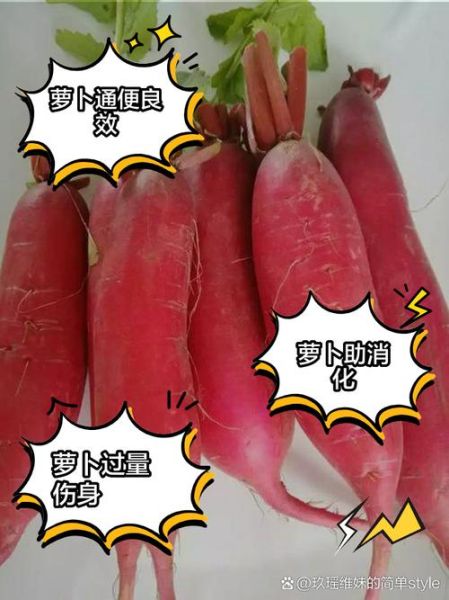 萝卜的功效与作用禁忌_什么人不能吃萝卜-第2张图片-山城妙识