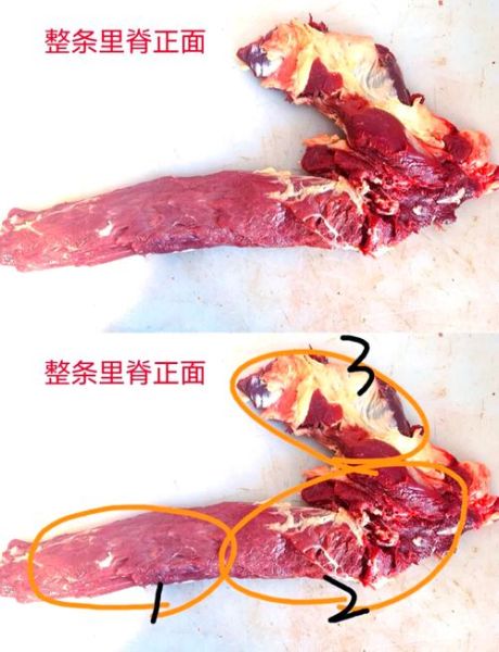 里脊怎么读_里脊肉怎么切才嫩-第1张图片-山城妙识