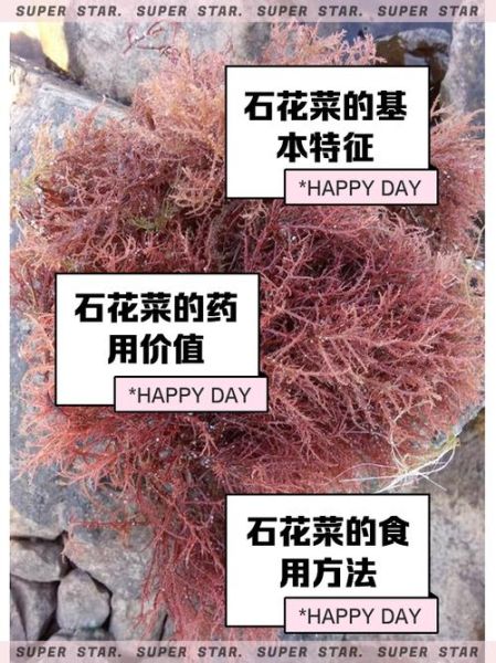 干石花菜怎么泡发_石花菜泡发多久才软-第3张图片-山城妙识