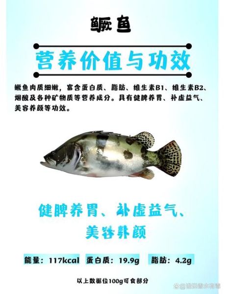 鳜鱼和桂鱼一样吗_鳜鱼桂鱼区别-第2张图片-山城妙识