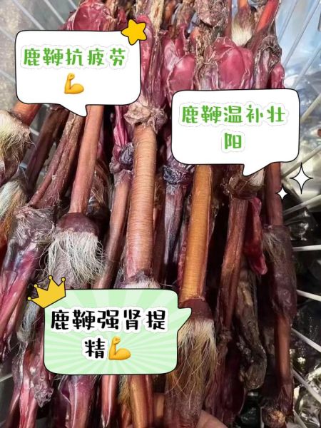 鹿鞭的功效与作用_鹿鞭怎么吃效果最好-第1张图片-山城妙识