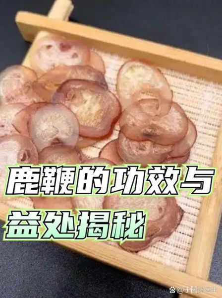 鹿鞭的功效与作用_鹿鞭怎么吃效果最好-第3张图片-山城妙识