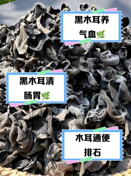 木耳的功效与作用禁忌_哪些人不能吃-第2张图片-山城妙识