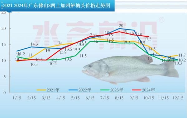 鲈鱼多少钱一斤_鲈鱼价格走势2024-第1张图片-山城妙识