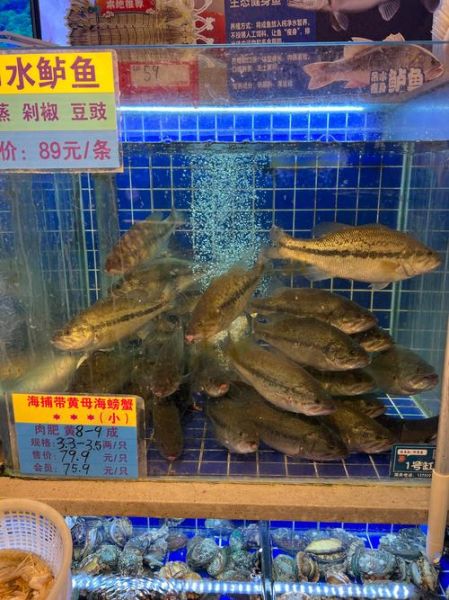 鲈鱼多少钱一斤_鲈鱼价格走势2024-第2张图片-山城妙识