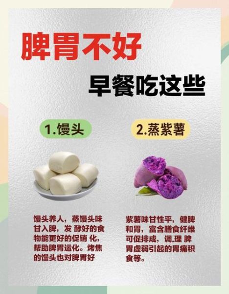 脾胃虚弱吃什么调理_脾胃虚弱吃什么食物好-第3张图片-山城妙识