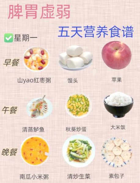 脾胃虚弱吃什么调理_脾胃虚弱吃什么食物好-第1张图片-山城妙识