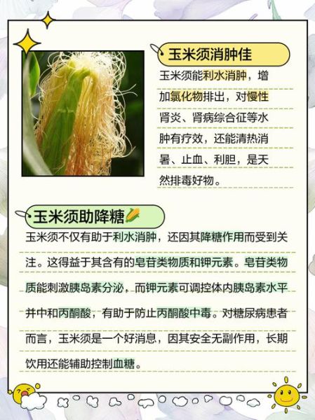 玉米须治肾病真的有用吗_玉米须对肾病的功效与作用-第3张图片-山城妙识