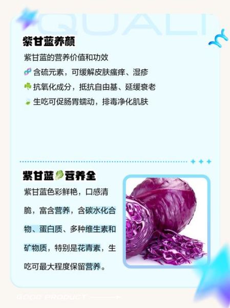 长期吃紫甘蓝有什么好处_紫甘蓝能天天吃吗-第2张图片-山城妙识