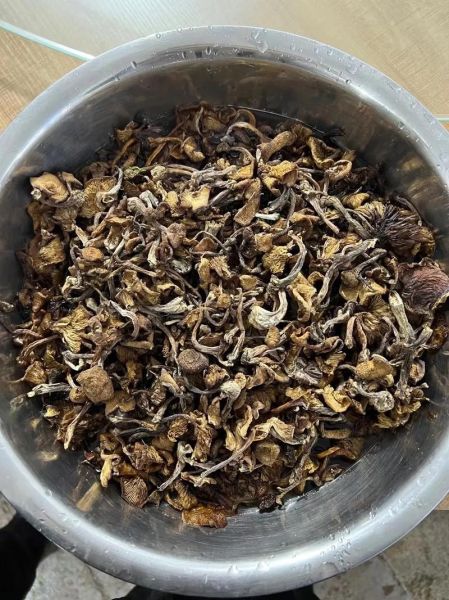 黑龙江伊春十大特产有哪些_价格是多少-第1张图片-山城妙识