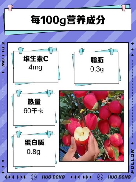鸡心果的功效与作用_鸡心果怎么吃最好-第2张图片-山城妙识