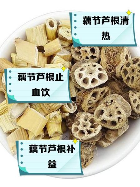 藕节的功效与作用_藕节怎么止血最快-第1张图片-山城妙识