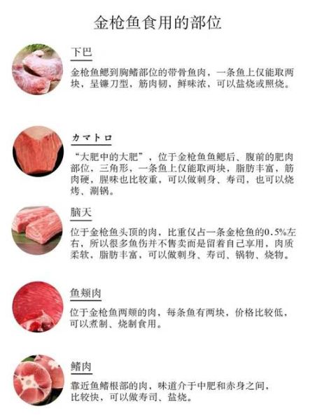 金枪鱼哪个部位最贵_金枪鱼最值钱部位在哪-第3张图片-山城妙识