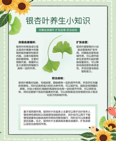 银杏叶片的功效与作用_银杏叶片主治哪些疾病-第2张图片-山城妙识