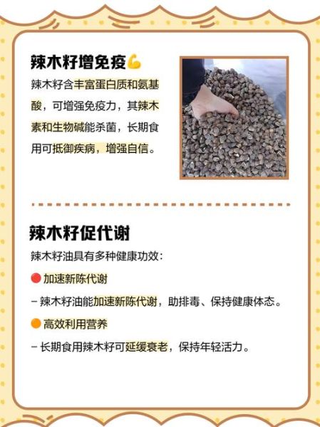 辣木籽女人吃了有什么副作用_女性长期吃辣木籽的危害-第2张图片-山城妙识