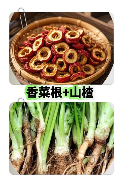 芫荽根的功效与作用_芫荽根煮水能天天喝吗-第2张图片-山城妙识