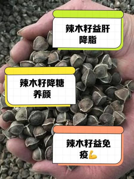 辣木籽女人吃了有什么副作用_女性长期吃辣木籽的危害-第3张图片-山城妙识