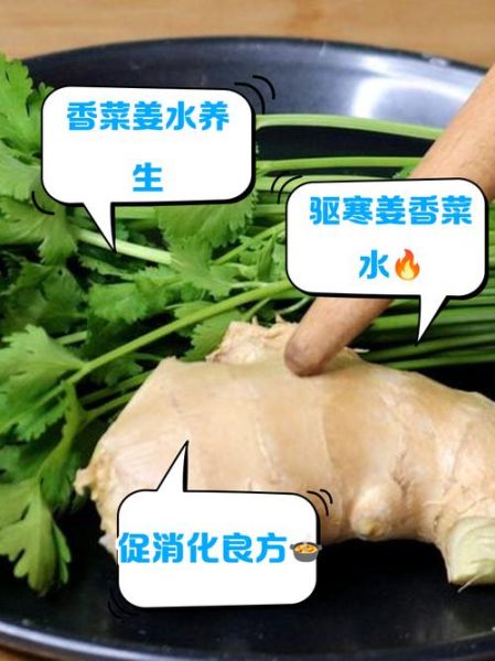 芫荽根的功效与作用_芫荽根煮水能天天喝吗-第3张图片-山城妙识
