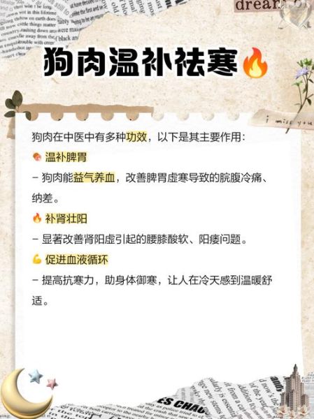 狗肉火锅需要什么配料_狗肉火锅配料清单-第3张图片-山城妙识 狗肉火锅需要什么配料_狗肉火锅配料清单-第3张图片-山城妙识