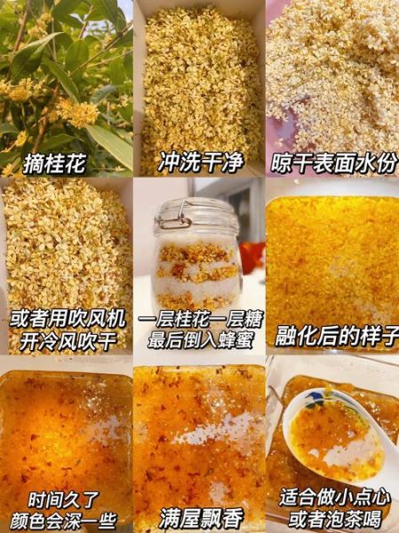 蜂蜜桂花茶怎么做_蜂蜜桂花茶的做法步骤-第3张图片-山城妙识